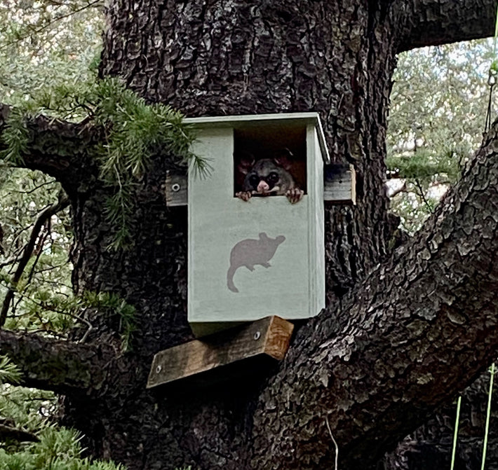 Possum Box Installation – Possum Piper